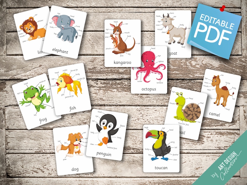 ANIMAL BODY PARTS part 1 104 Editable Montessori Cards | Etsy