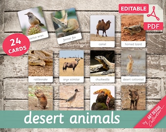 ASIA ANIMALS 32 Editable Montessori Cards Flash Cards Nomenclature ...