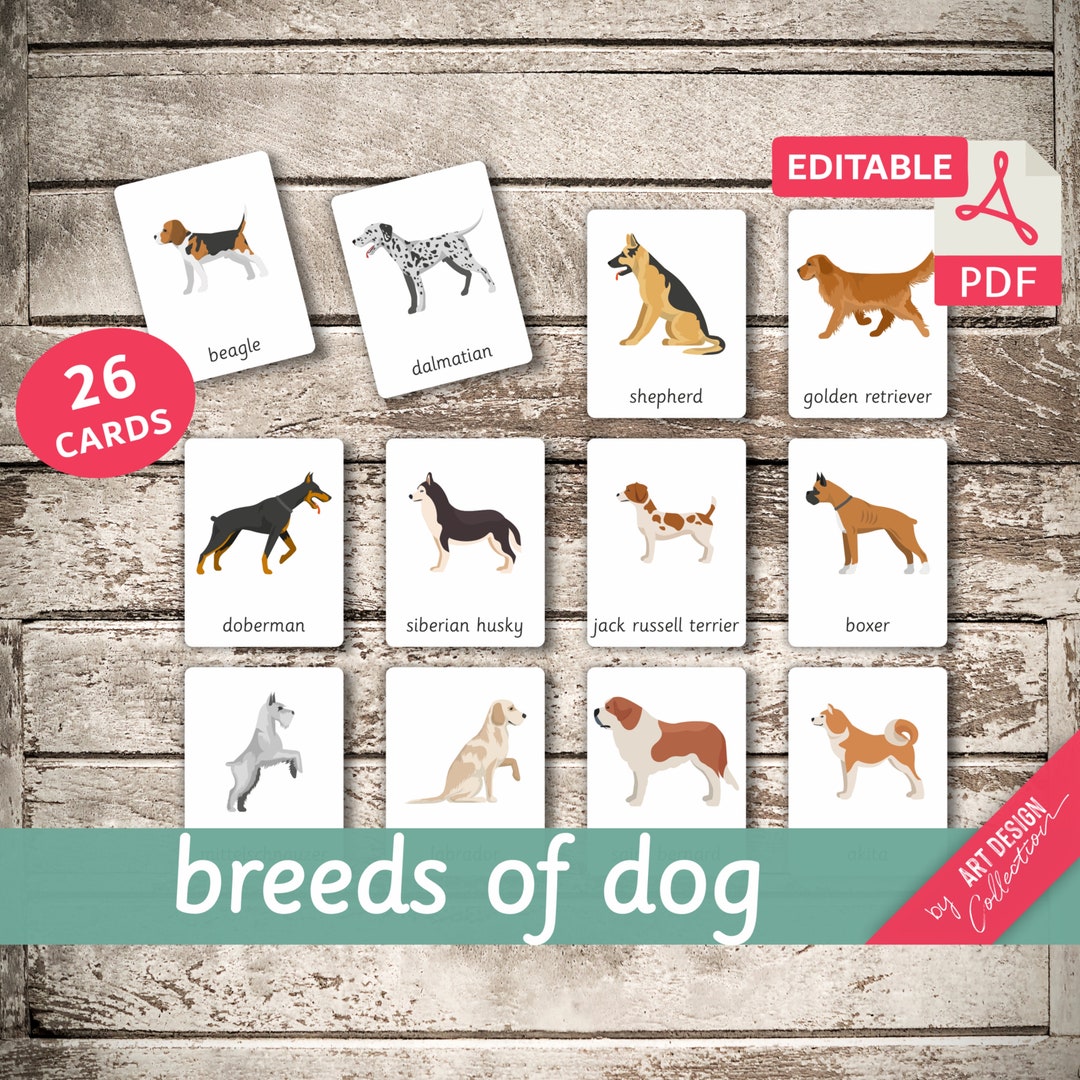 BREEDS OF DOG • 26 Editable Montessori Cards • Flash Cards Nomenclature ...
