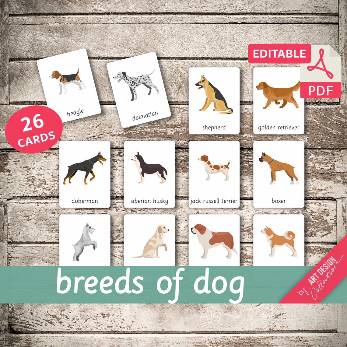 BREEDS OF DOG • 26 Editable Montessori Cards • Flash Cards Nomenclature ...