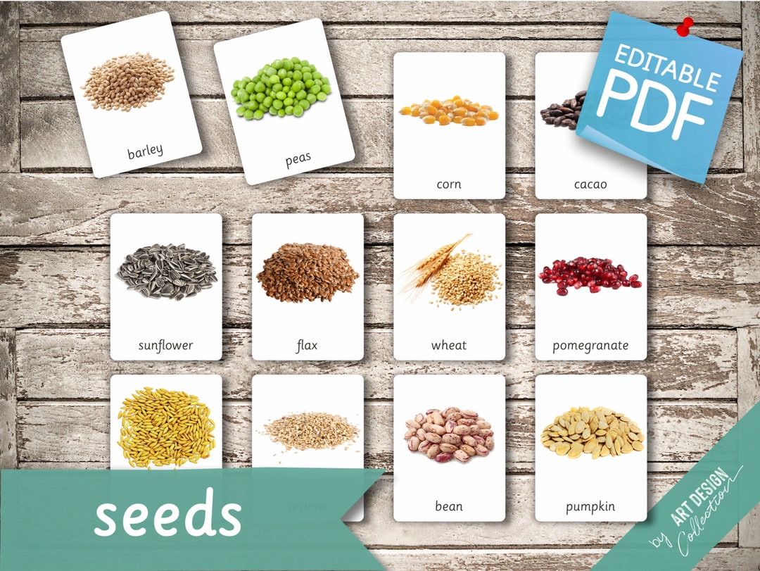 SEEDS real Pictures 28 Editable Montessori Cards Flash Cards ...