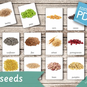 SEEDS (real Pictures) • 28 Editable Montessori Cards • Flash Cards ...
