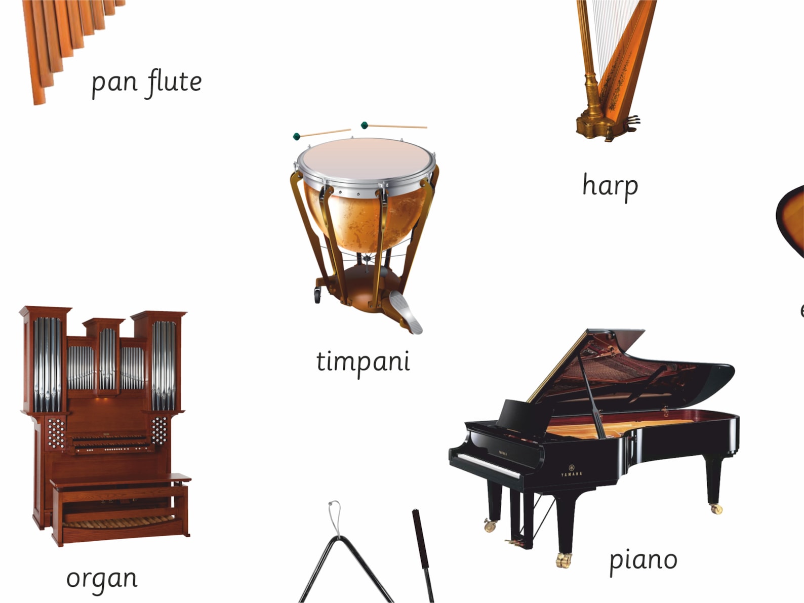 MUSICAL INSTRUMENTS POSTER Montessori Poster Montessori | Etsy