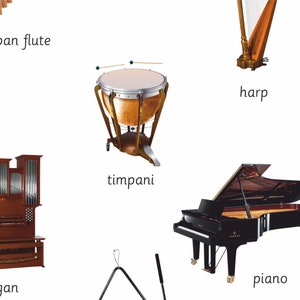 MUSICAL INSTRUMENTS POSTER • Montessori Poster • Montessori Educational ...