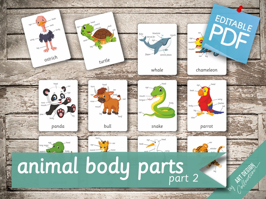ANIMAL BODY PARTS part 2 104 Editable Montessori Cards Flash Cards ...