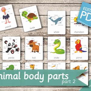ANIMAL BODY PARTS (part 2) • 104 Editable Montessori Cards • Flash ...