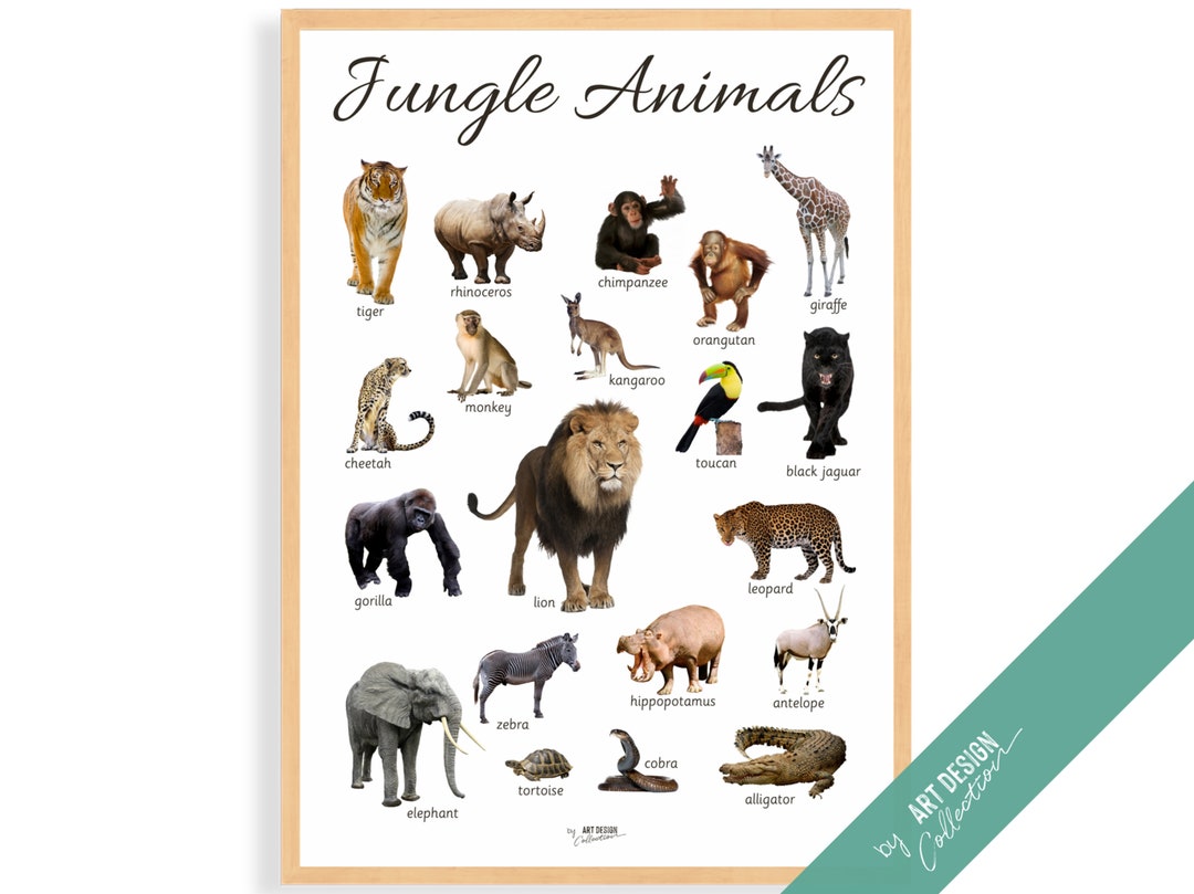 JUNGLE ANIMALS POSTER • Montessori Poster • Montessori Educational ...