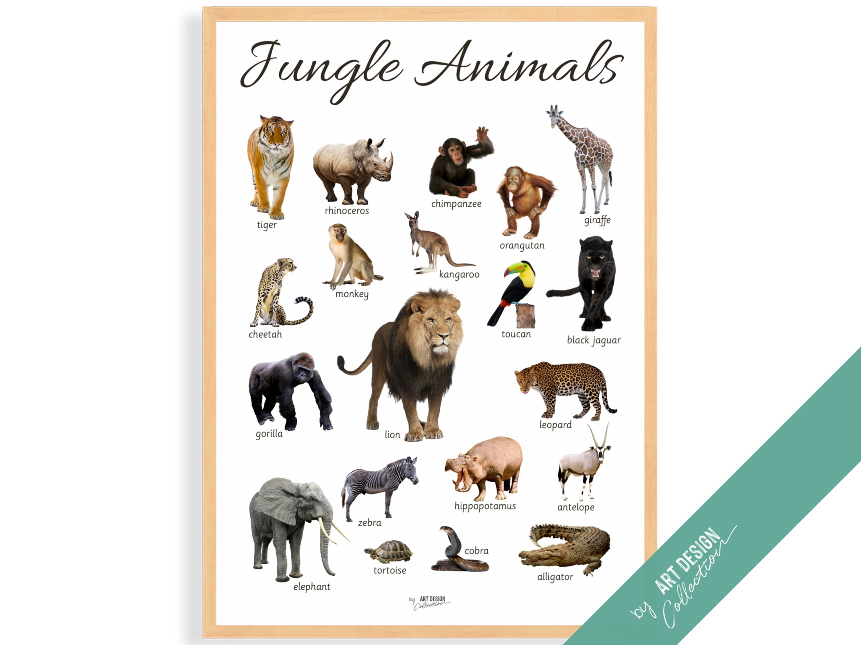 JUNGLE ANIMALS POSTER • Montessori Poster • Montessori Educational ...