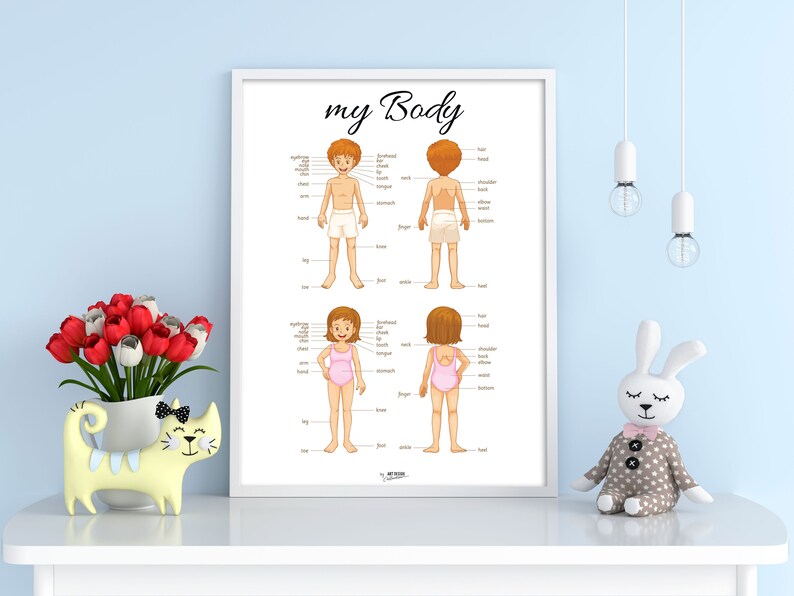 MY BODY POSTER • Montessori Poster • Montessori Educational ...