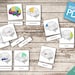 HUMAN BRAIN brain Parts Brain Functions 32 Editable Montessori Cards ...