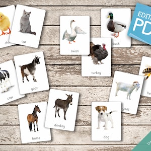 FARM ANIMALS • 22 Editable Montessori Cards • Flash Cards Nomenclature ...
