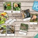 SOUTH AMERICA ANIMALS • 28 Editable Montessori Cards • Flash Cards ...