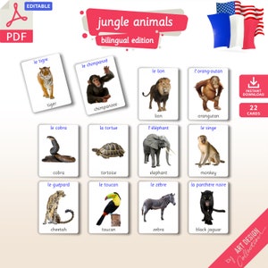JUNGLE ANIMALS BILINGUAL • 22 Editable Montessori Cards • Flash Cards ...