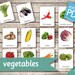 VEGETABLES MULTILINGUAL Edition 46 English, French, German, Greek, and ...