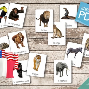 JUNGLE ANIMALS FRENCH Edition • 22 French and 22 English Editable ...