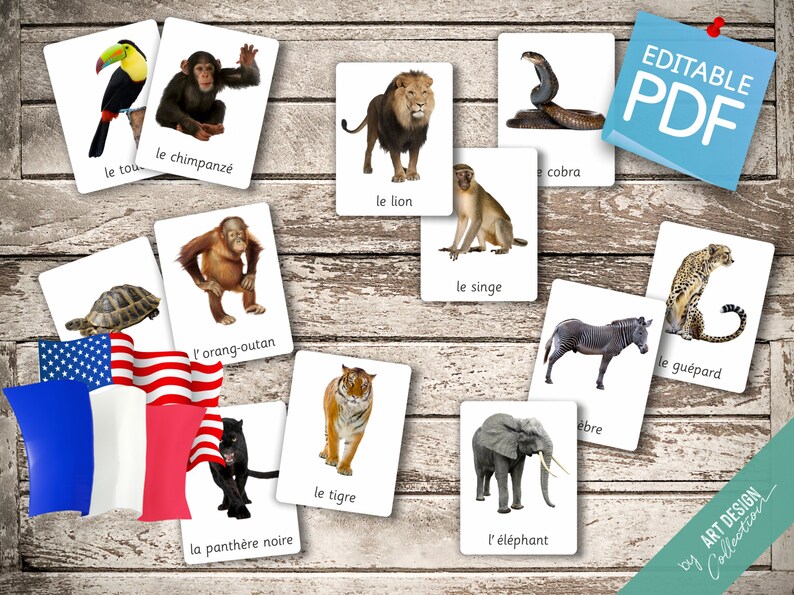 JUNGLE ANIMALS FRENCH Edition 22 French and 22 English | Etsy