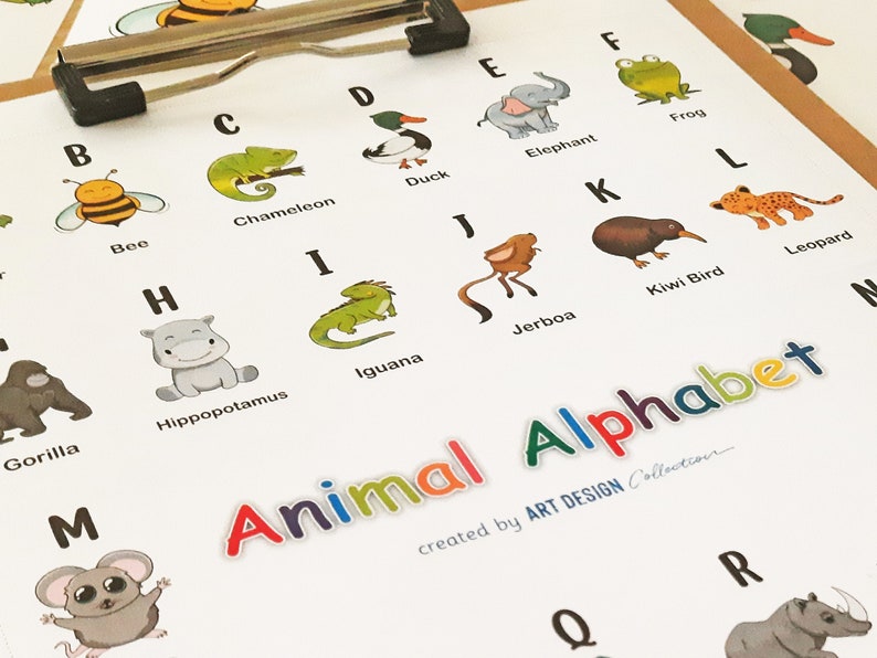 ANIMAL ALPHABET Flashcards 26 Montessori Cards Flash Cards - Etsy