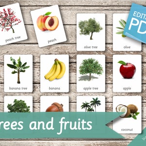 TREES AND FRUITS • 48 Montessori Cards • Flash Cards Nomenclature ...