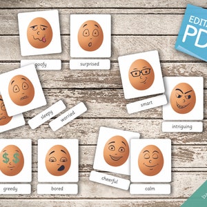 EGG CHARACTER • 50 Editable Montessori Cards • Flash Cards Nomenclature ...