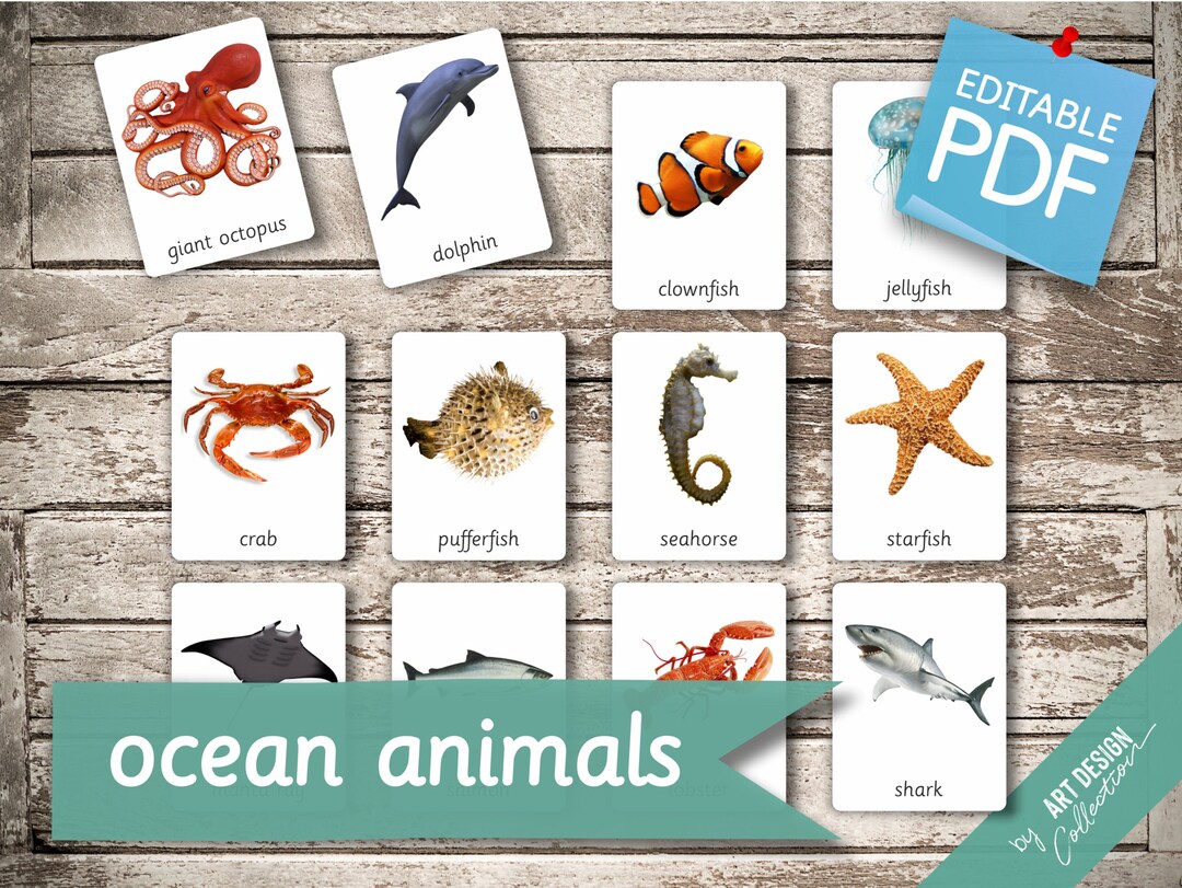 OCEAN ANIMALS 22 Montessori Cards Flash Cards Nomenclature Flashcards ...