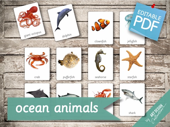 OCEAN ANIMALS 22 Montessori Cards Flash Cards Nomenclature - Etsy Australia