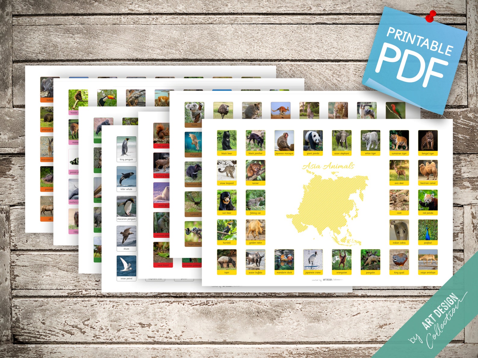 WORLD ANIMALS BOOK • 7 Printable Cards 17" X 11" • 196 Animals Cards ...