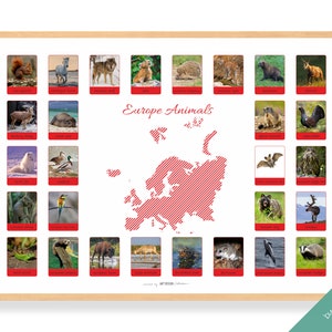 WORLD ANIMALS 7 Poster • Montessori Poster • Montessori Educational ...