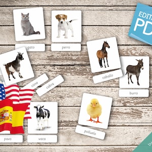 FARM ANIMALS SPANISH Edition • 22 Spanish and 22 English Editable ...