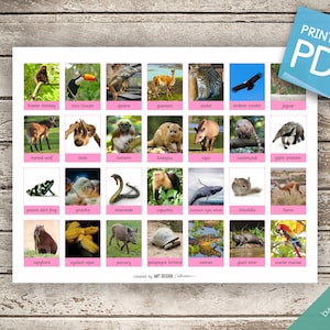 WORLD ANIMALS BOOK • 7 Printable Cards 17" X 11" • 196 Animals Cards ...
