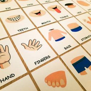 BODY PARTS • 24 Montessori Cards • Flash Cards Nomenclature Flashcards ...