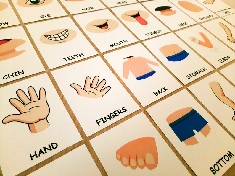 BODY PARTS • 24 Montessori Cards • Flash Cards Nomenclature Flashcards ...