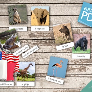 AFRICA ANIMALS FRENCH Edition • 28 French and 28 English Editable ...