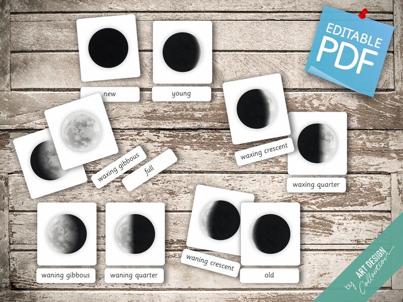 MOON PHASES 10 Editable Montessori Cards Flash Cards | Etsy