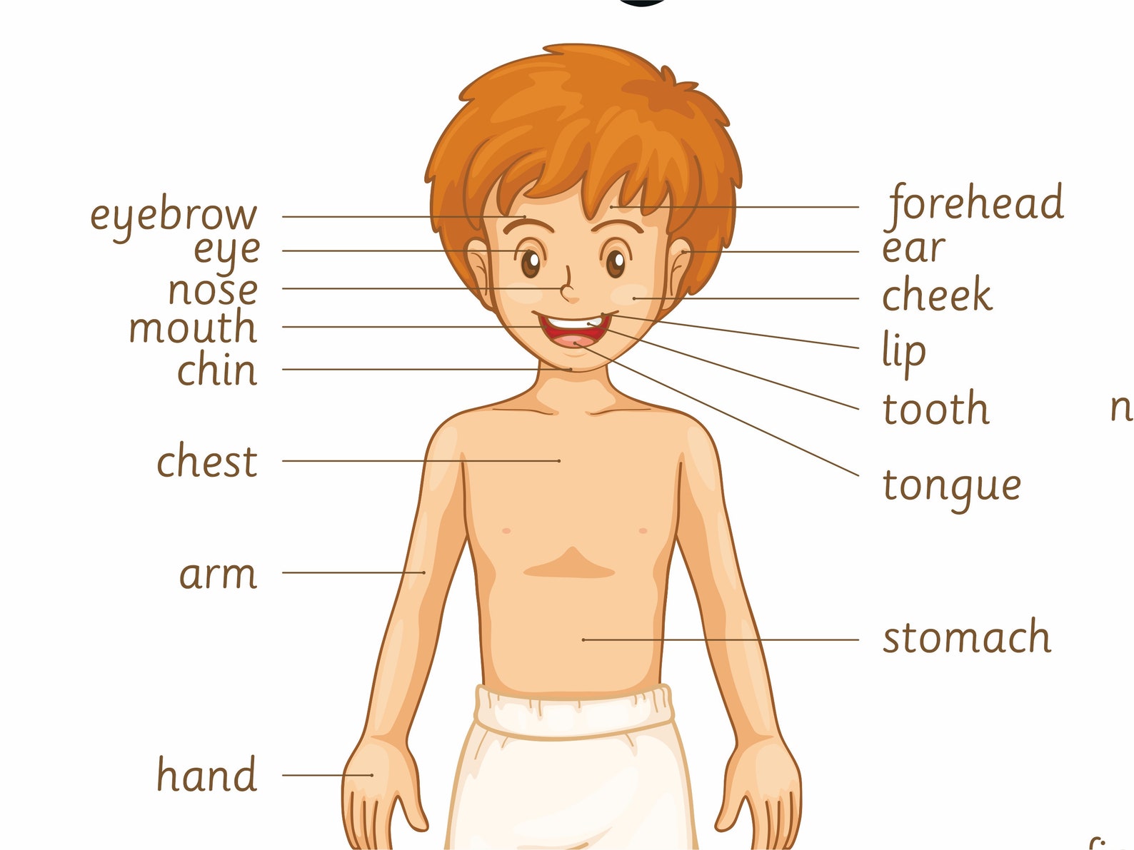 MY BODY POSTER • Montessori Poster • Montessori Educational ...