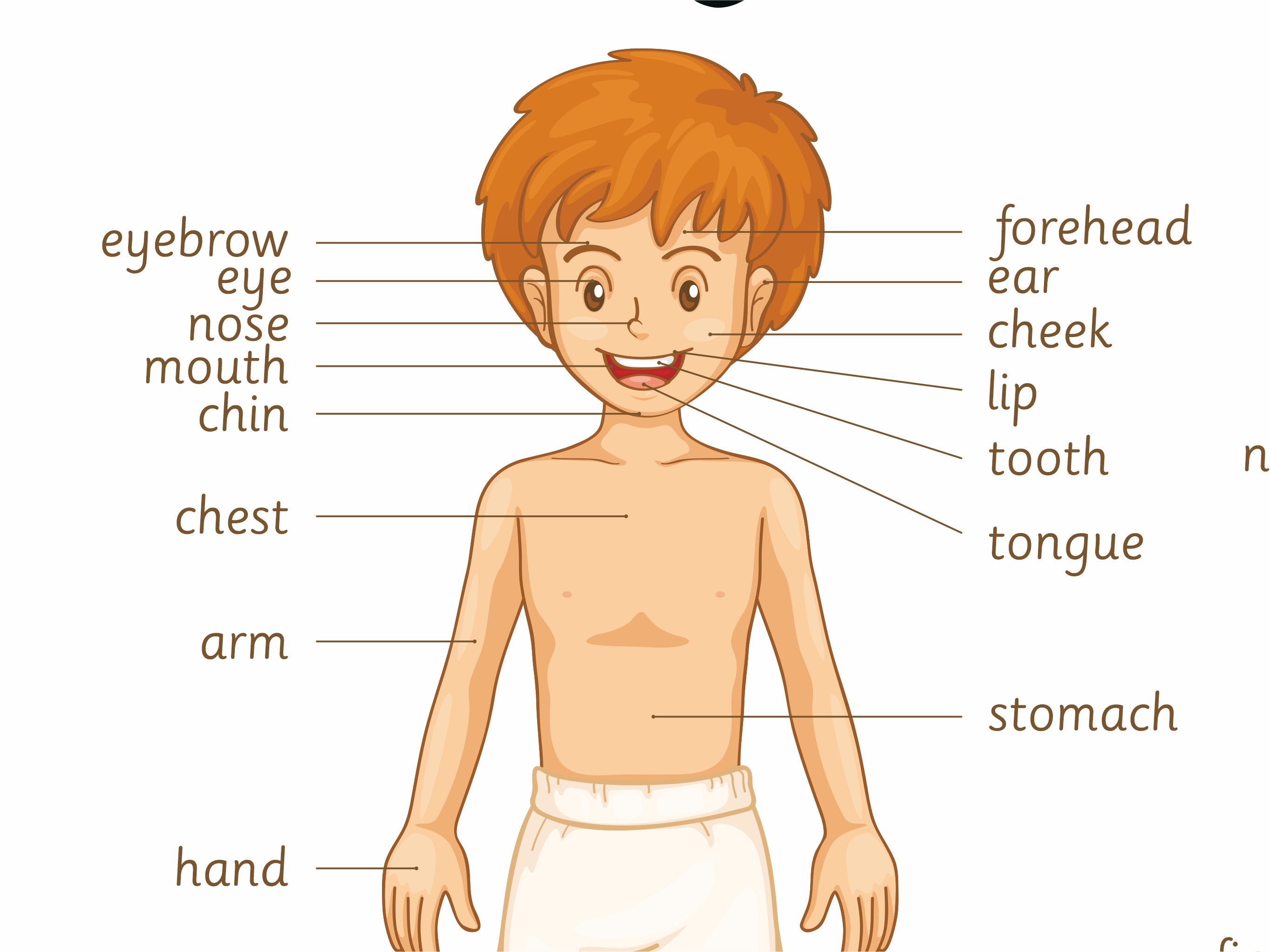 MY BODY POSTER Montessori Poster Montessori Educational - Etsy