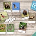 NORTH AMERICA ANIMALS 28 Editable Montessori Cards Flash Cards ...
