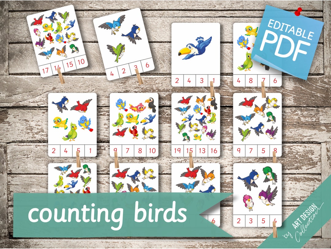 COUNTING BIRDS (1 to 20) • 20 Editable Montessori Cards • Flash Cards ...
