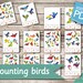 COUNTING BIRDS 1 to 20 20 Editable Montessori Cards Flash Cards ...
