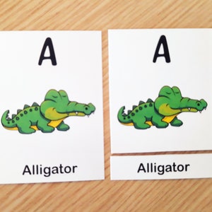 ANIMAL ALPHABET Flashcards • 26 Montessori Cards • Flash Cards ...