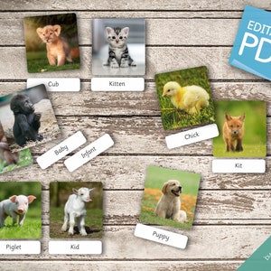 ANIMALS' BABIES • 108 Editable Montessori Cards • Flash Cards ...