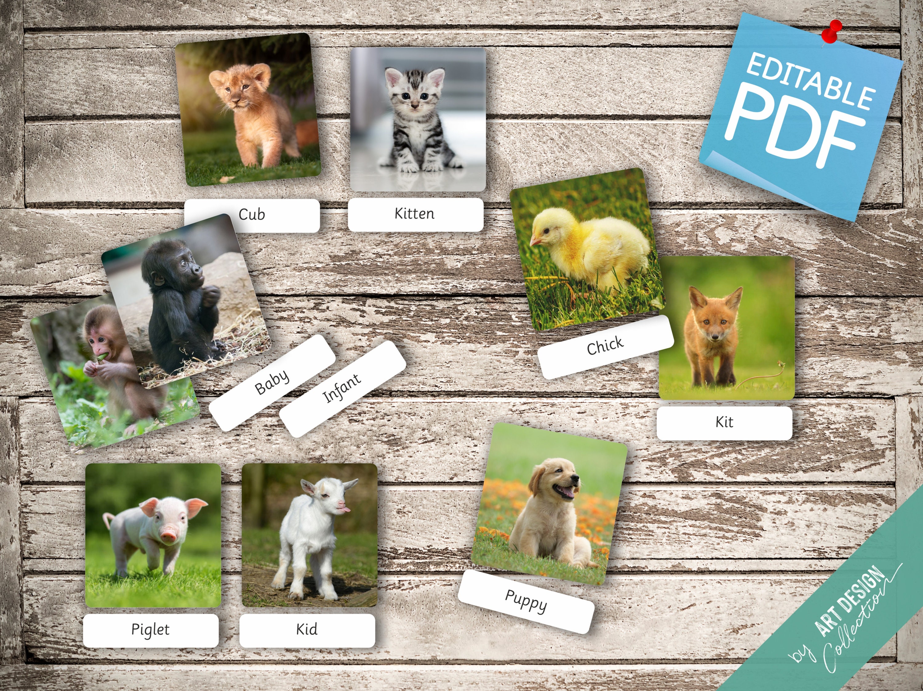 ANIMALS' BABIES 108 Editable Montessori Cards Flash | Etsy