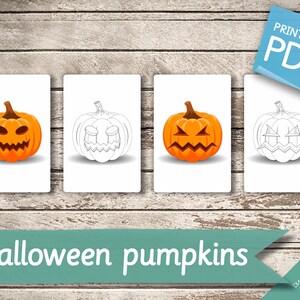 HALLOWEEN PUMPKINS • 48 Montessori Cards • Flash Cards Nomenclature ...
