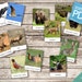 NORTH AMERICA ANIMALS 28 Editable Montessori Cards Flash Cards ...