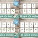 LIFE CYCLE BUNDLE 12 Life Cycles Montessori Cards Flash - Etsy