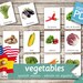 VEGETABLES MULTILINGUAL Edition 46 English, French, German, Greek, and ...