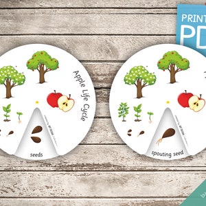APPLE LIFE CYCLE Wheel • Montessori Busy Book Activity Nomenclature ...