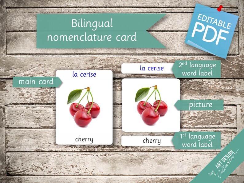 FRUITS real Pictures BILINGUAL 50 Editable Montessori - Etsy