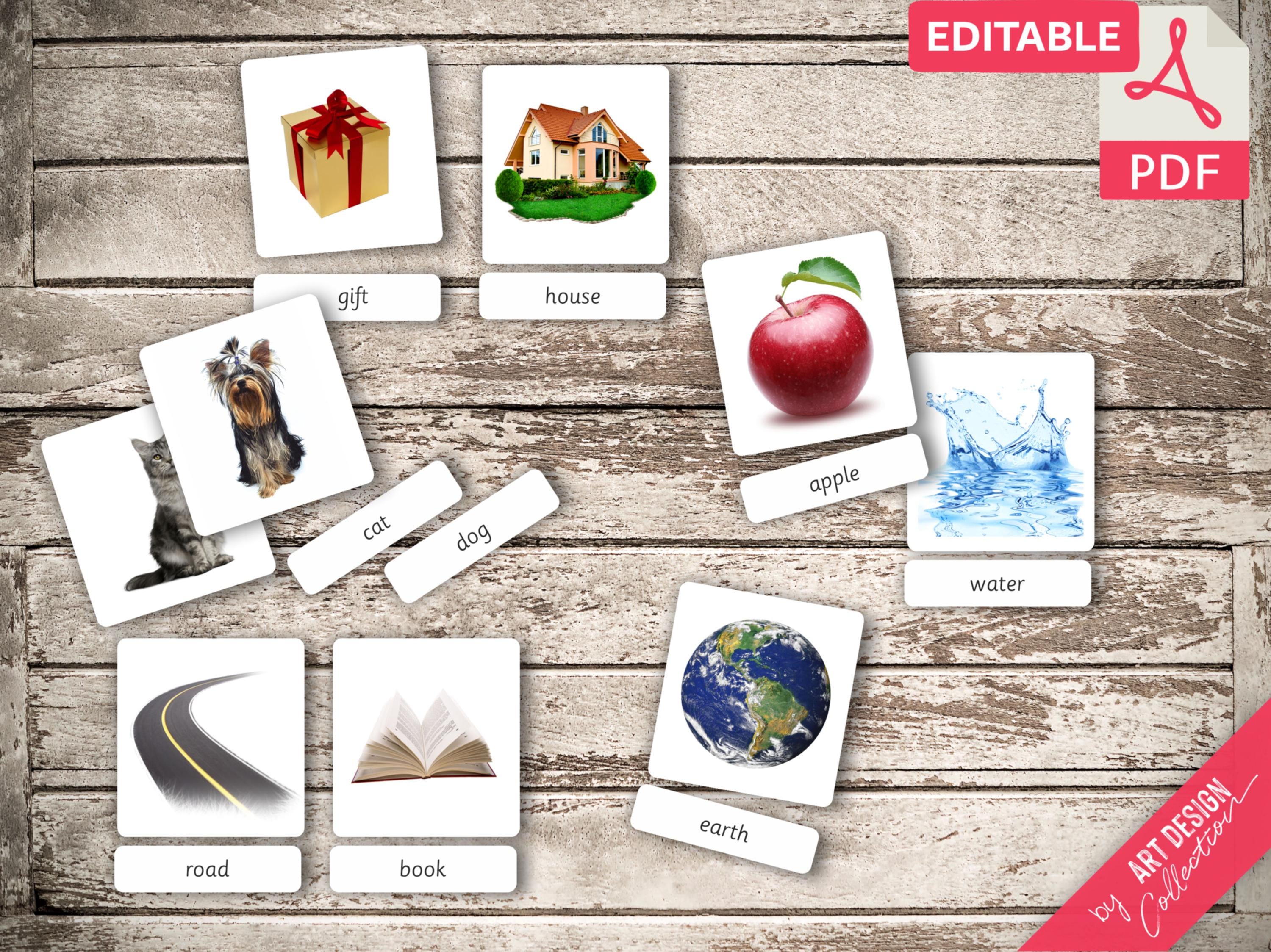 BEGGINIG SOUNDS • 312 Editable Montessori Cards • Flash Cards ...