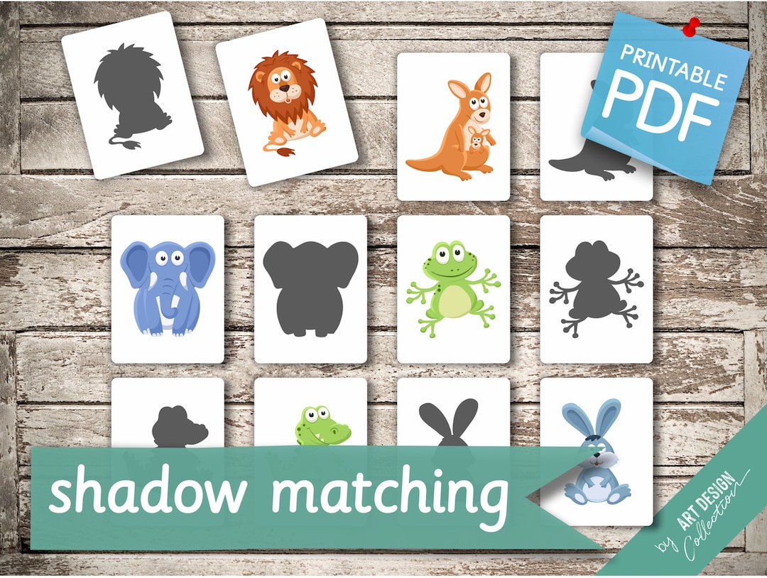 SHADOW MATCHING CARDS • 52 Montessori Cards • Flash Cards Nomenclature ...