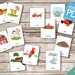 ANIMALS' HOME 63 Montessori Cards Flash Cards Nomenclature Flashcards ...